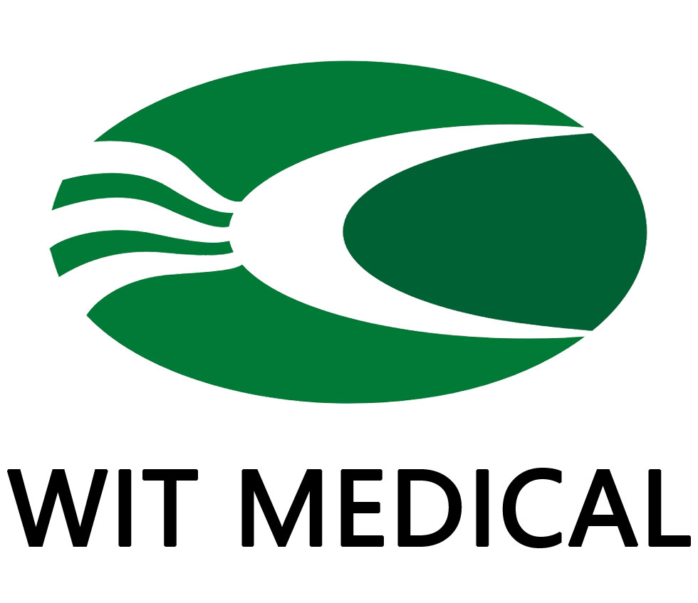 Guangzhou WIT Medical Technology Co Ltd